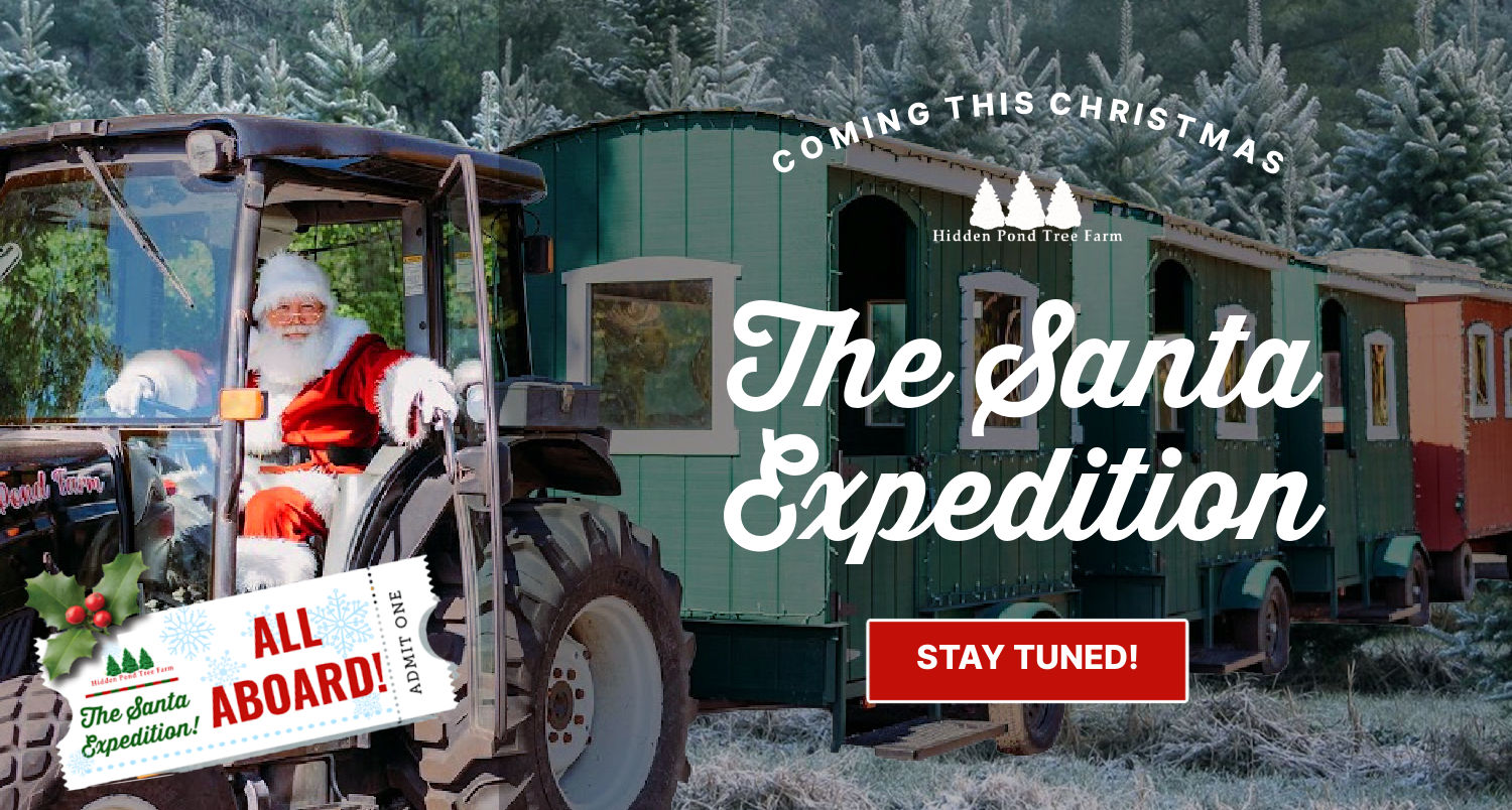 HP SAnta EXP 1500 x 1000 V C Coming Soon - Hidden Pond Tree Farm